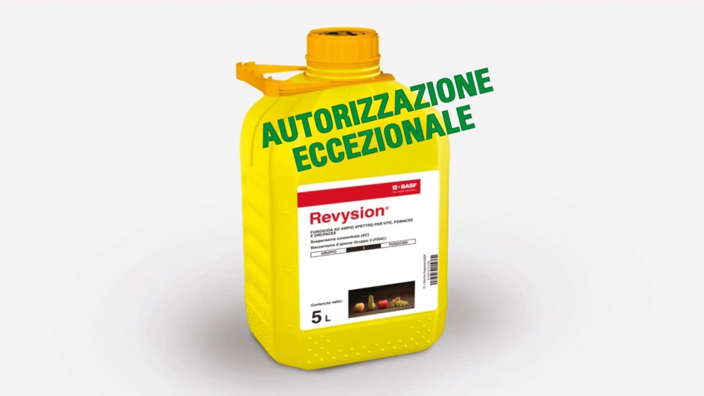 Revystar XL Beet