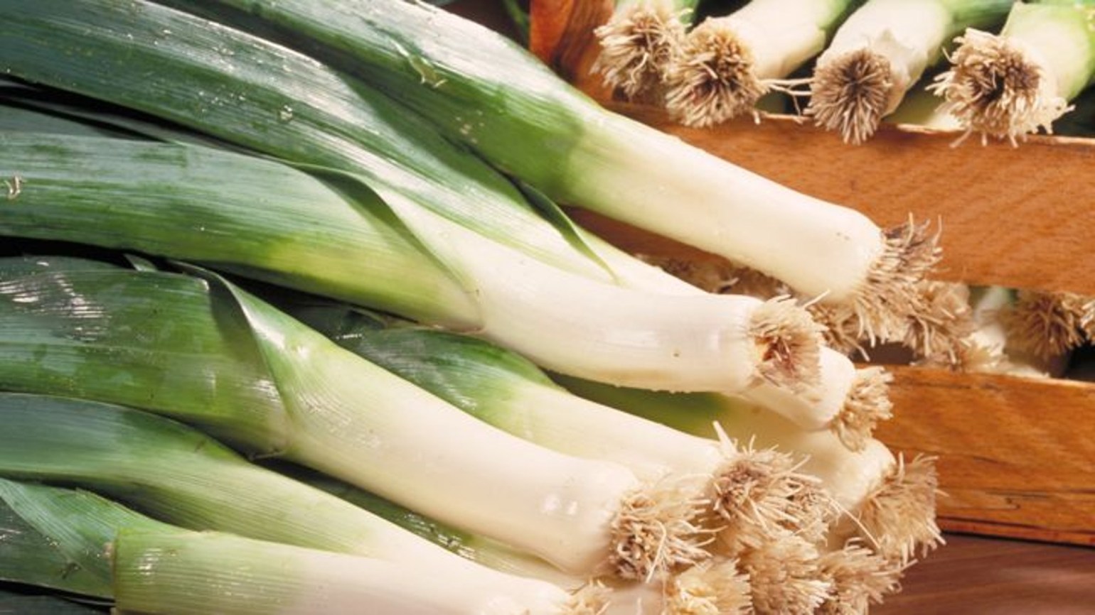 Porro - BASF Agricultural Solutions Italia